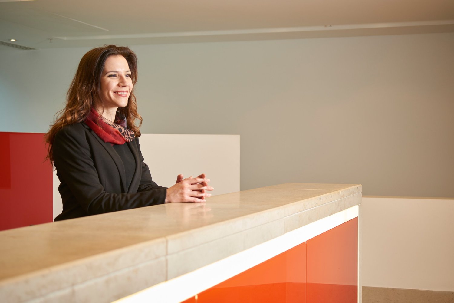 Professional corporate portraits — Steve Franck Photography ...