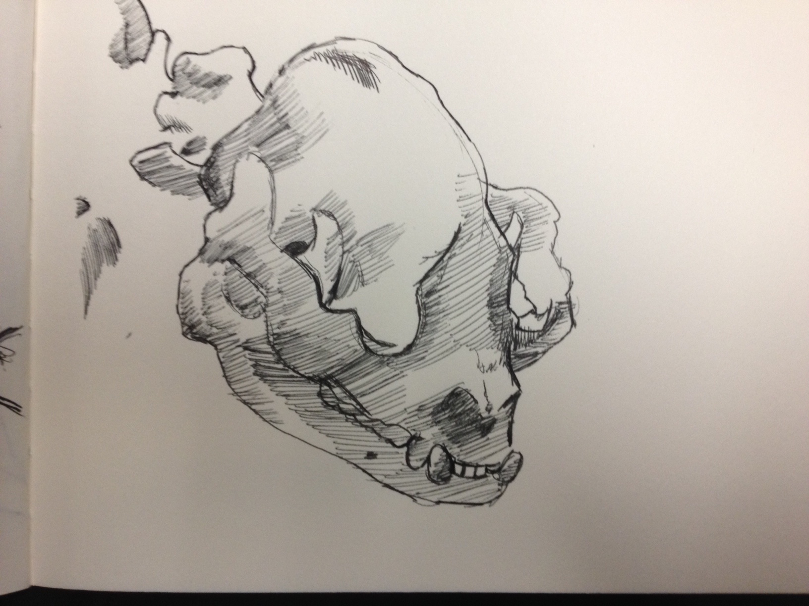 A Day Drawing at the Museum with Schoolism Buddies — Kelsey Bass