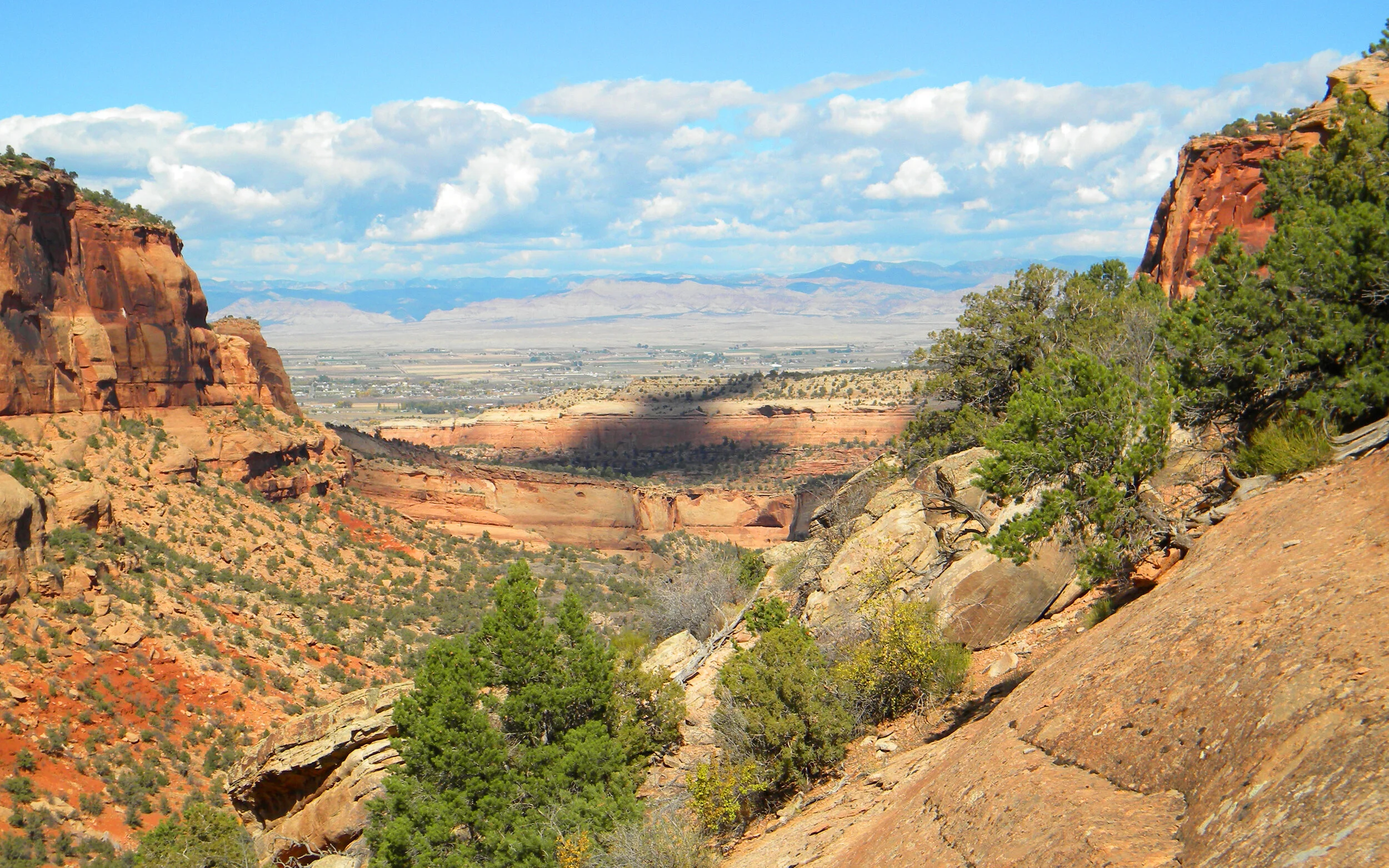 Trail Clean-Up at Pollock Bench — Community Events