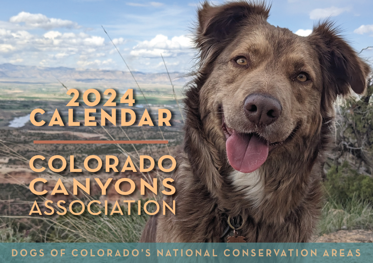 Ways to Support CCA — Colorado Canyons Association