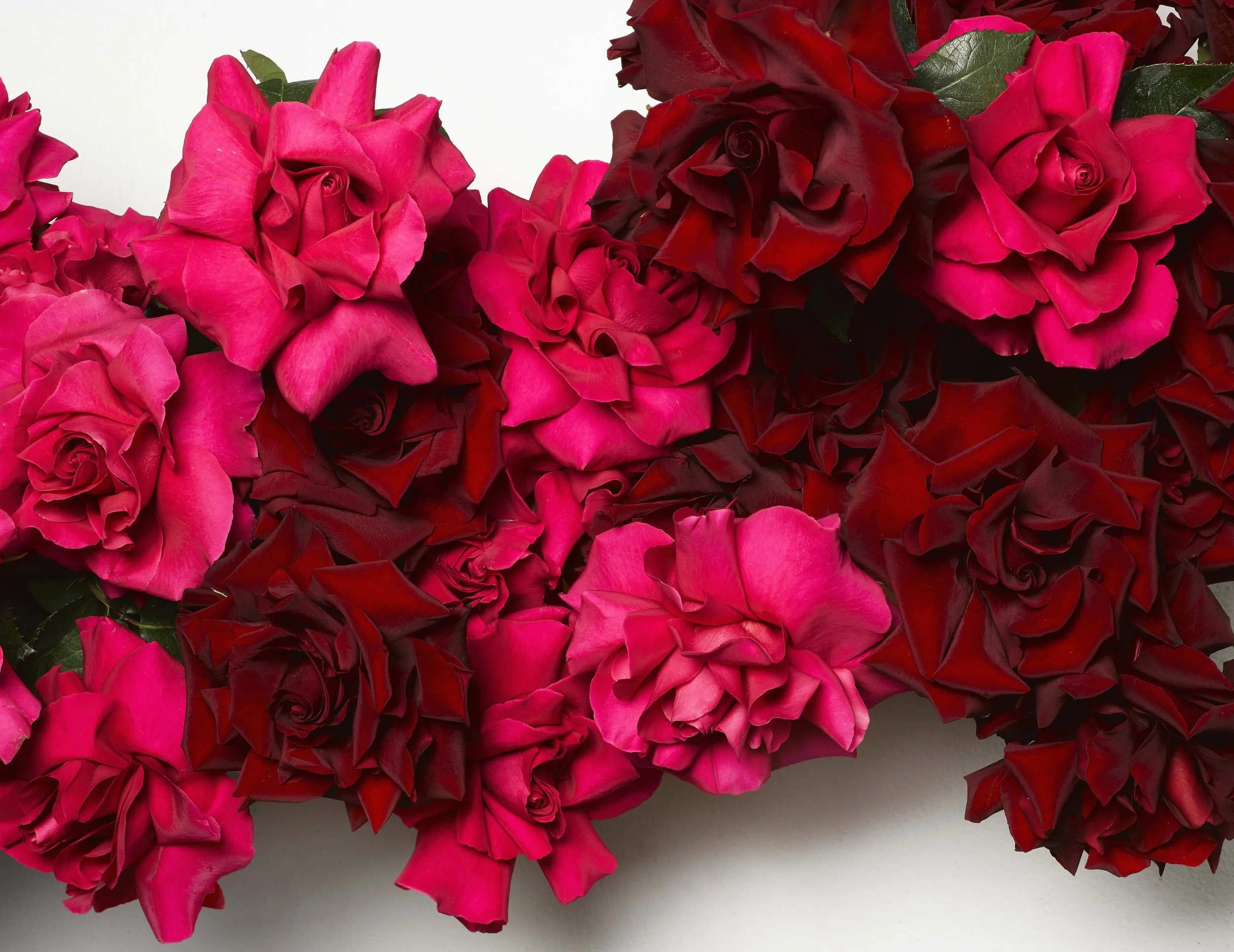 grandirosa