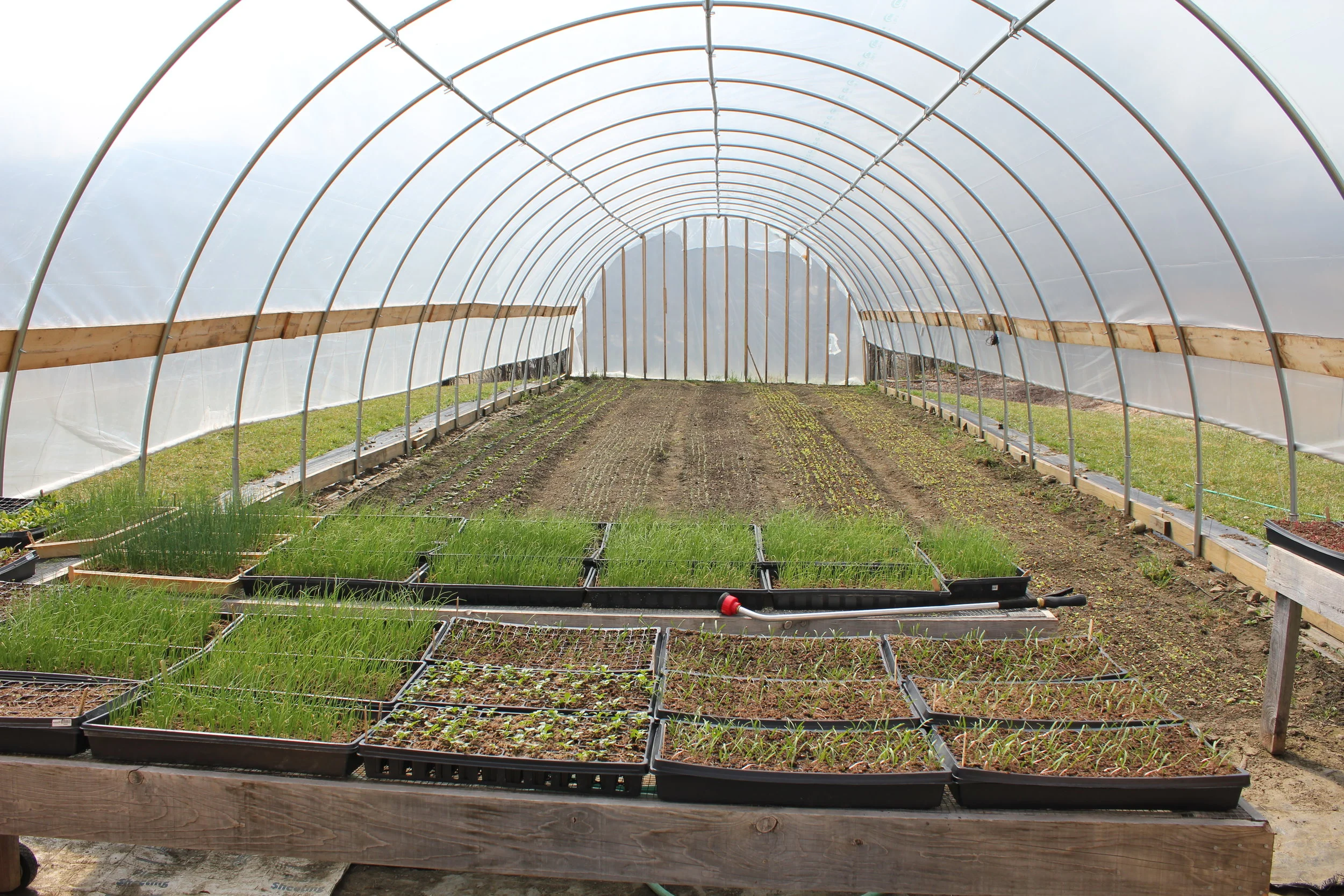 Old Soul Farm