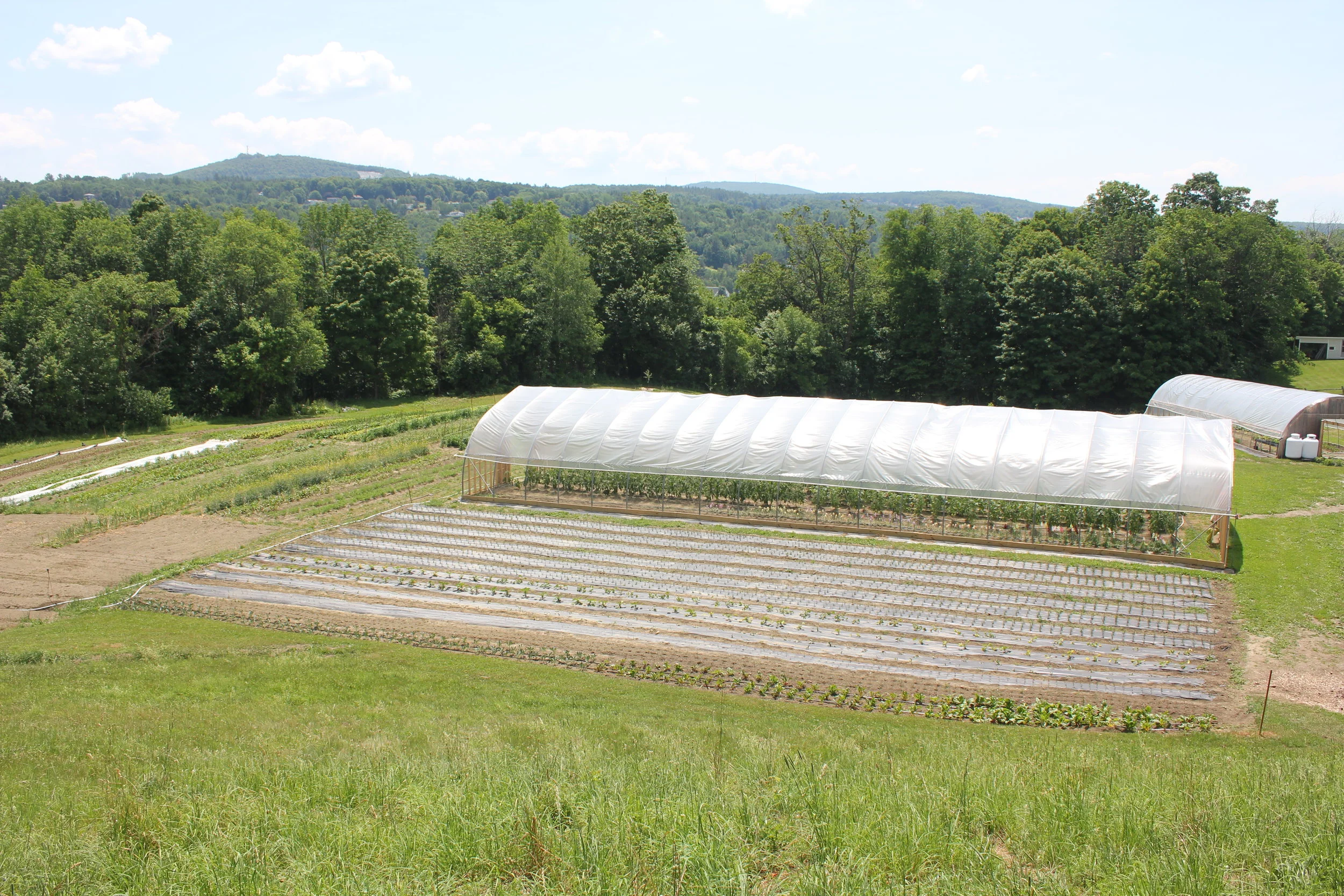 Old Soul Farm