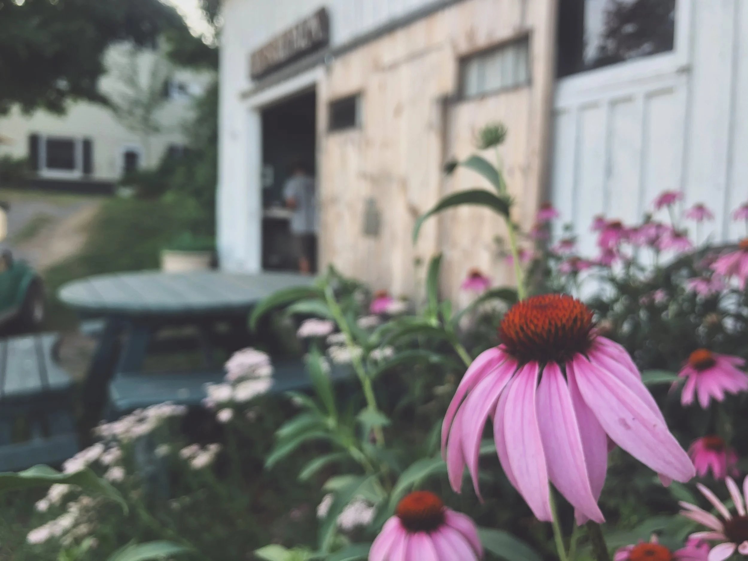 Old Soul Farm