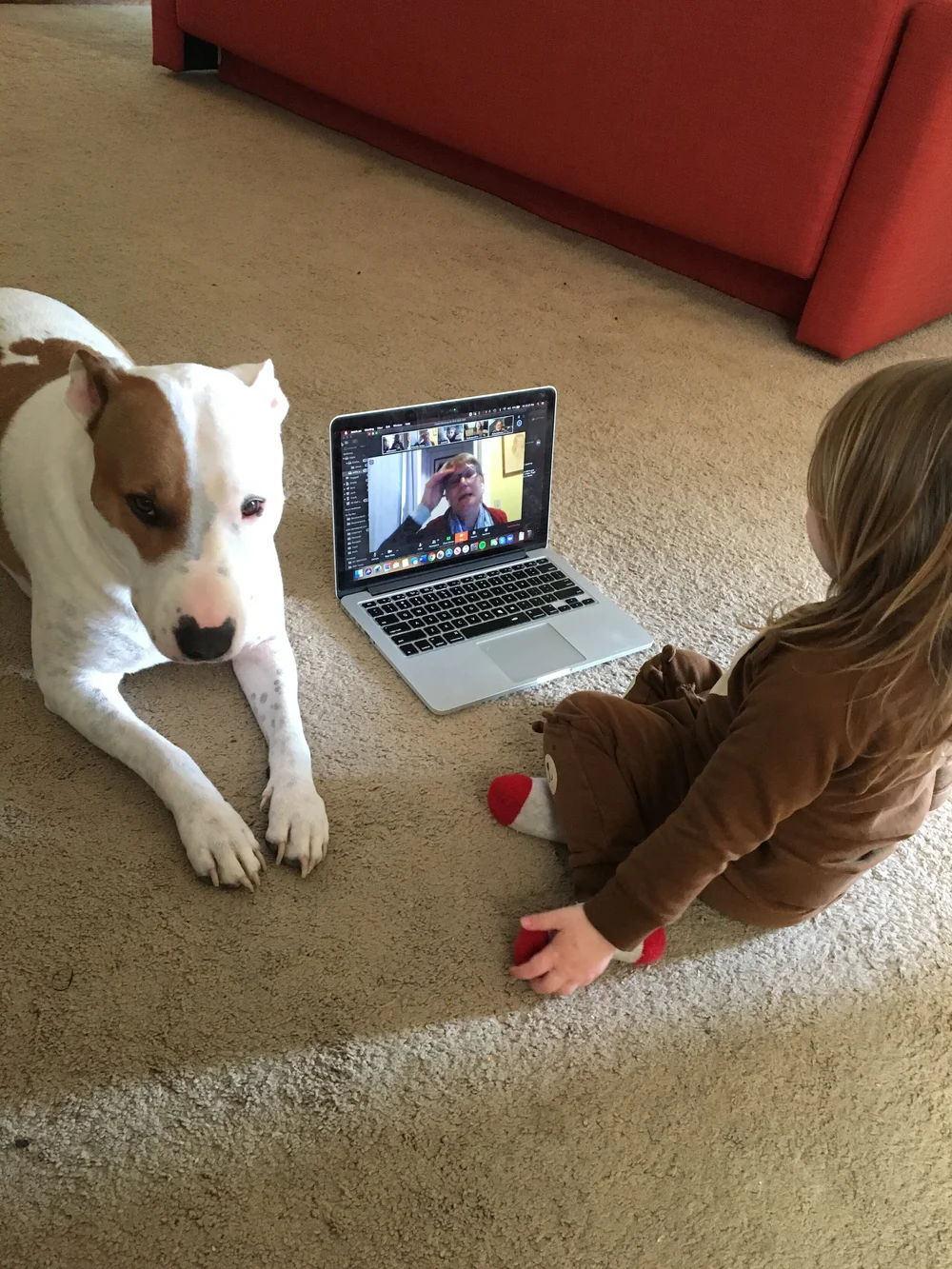 Daily storytime, an anchor for my day — Priscilla Howe, Storyteller
