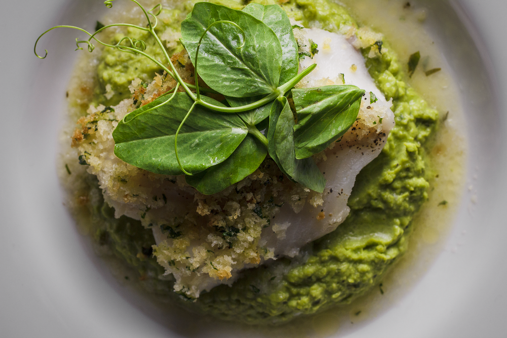 Herbed-Crusted Cod & Pea Purée — The Broken Bread