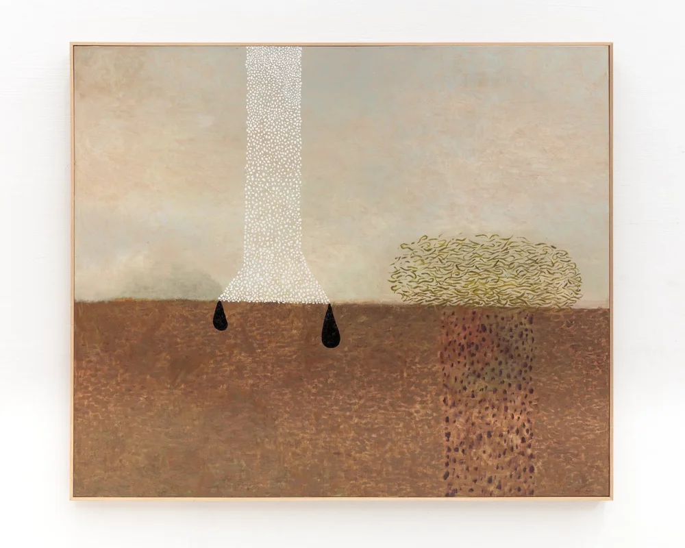 tyler hays