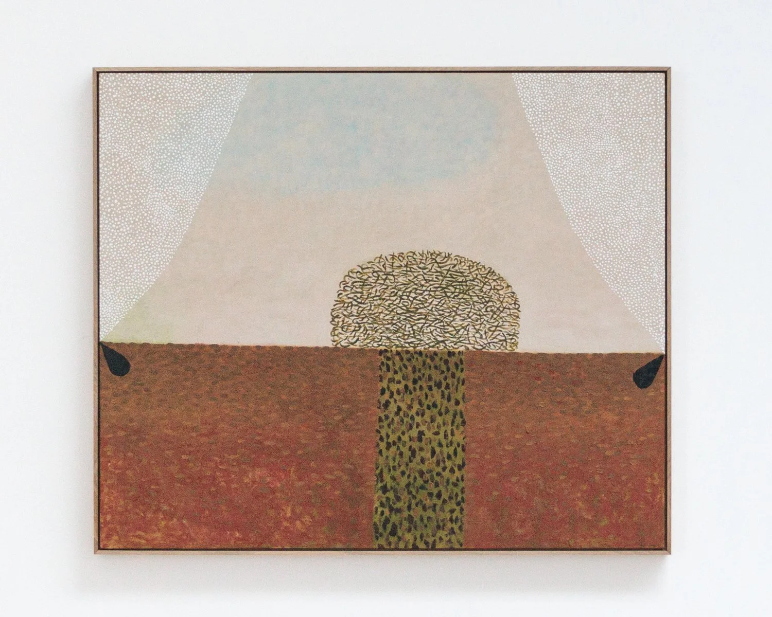 tyler hays