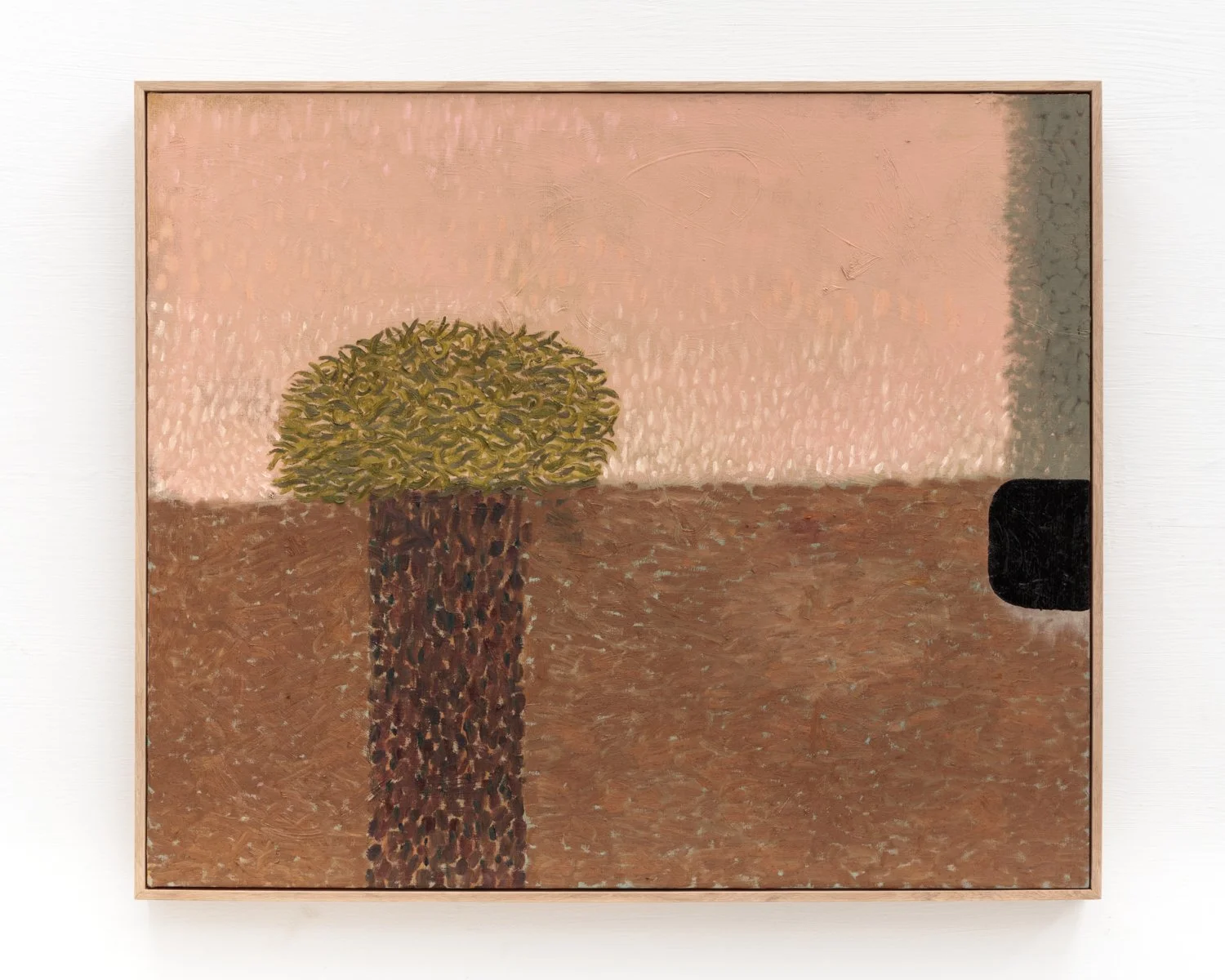 tyler hays
