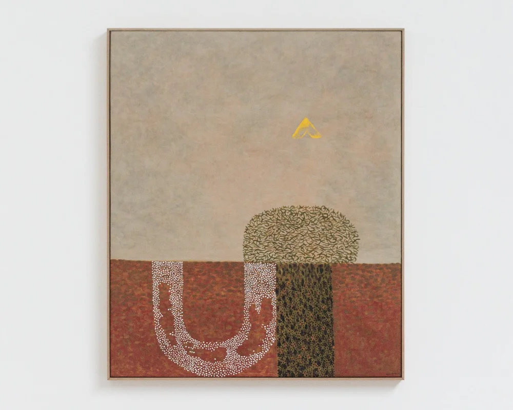 tyler hays