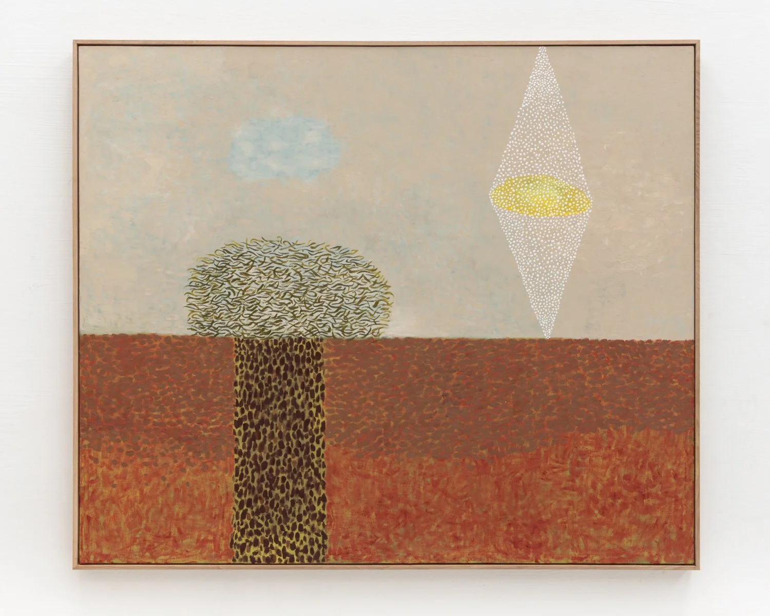 tyler hays