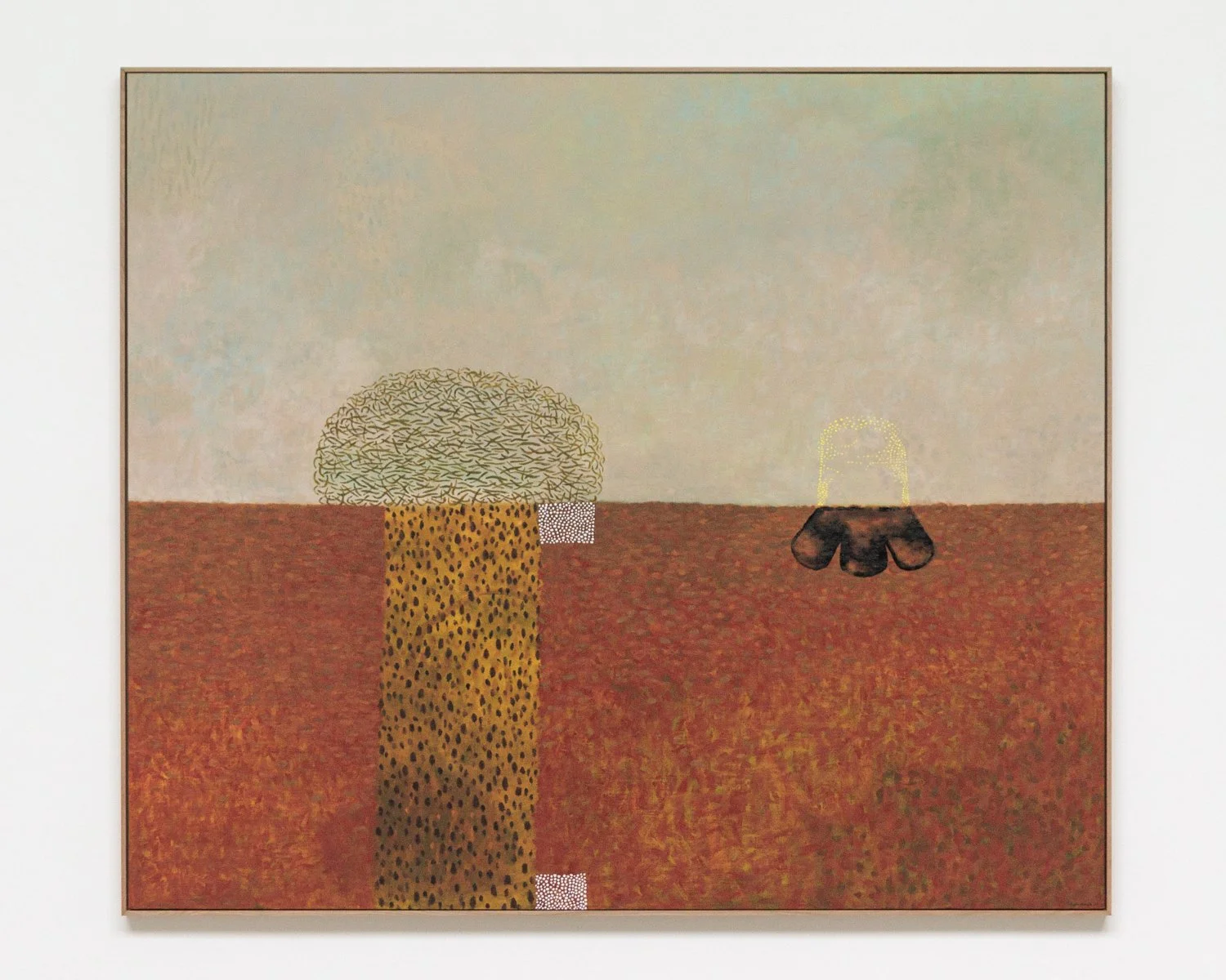 tyler hays