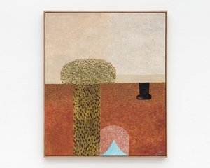 tyler hays