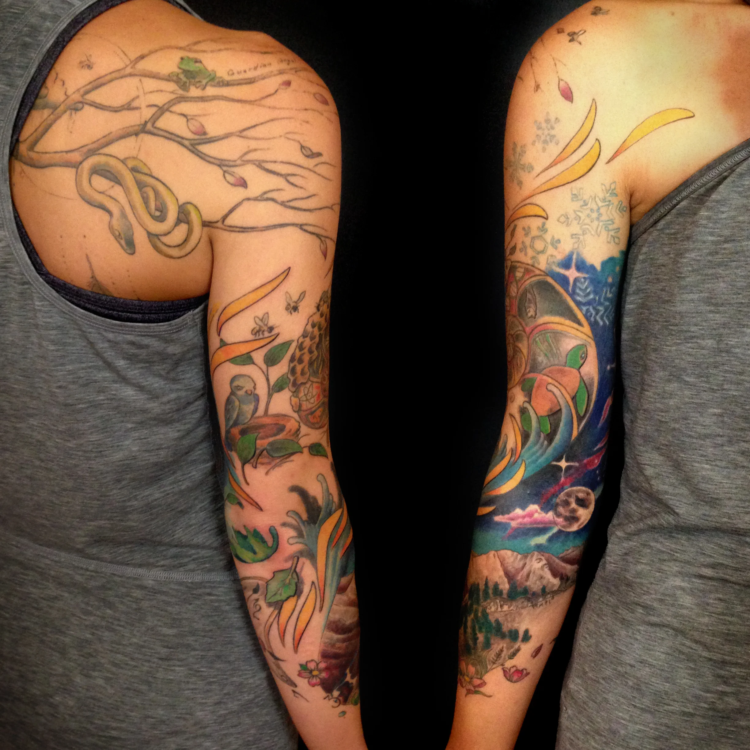 Color — Justin Turkus