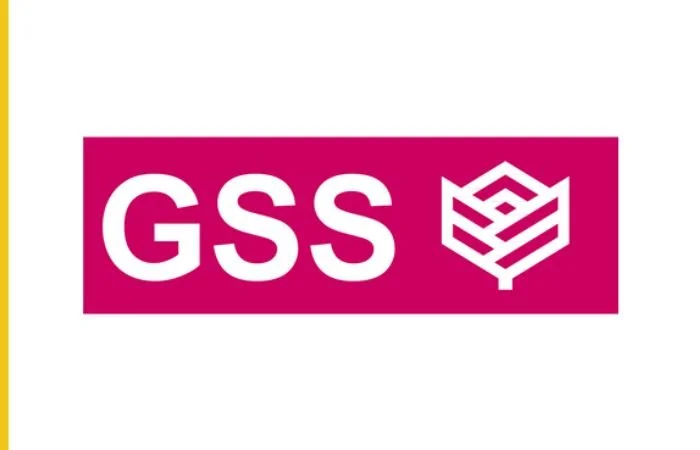 RegTech GSS raises £37m in first funding round — Just Entrepreneurs