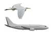 Biomimicry: 6 technological advancements inspired by nature — Just ...