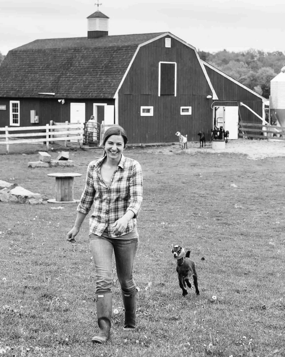 Edible Boston Photography: Dancing Goats Dairy | Adam DeTour Photography