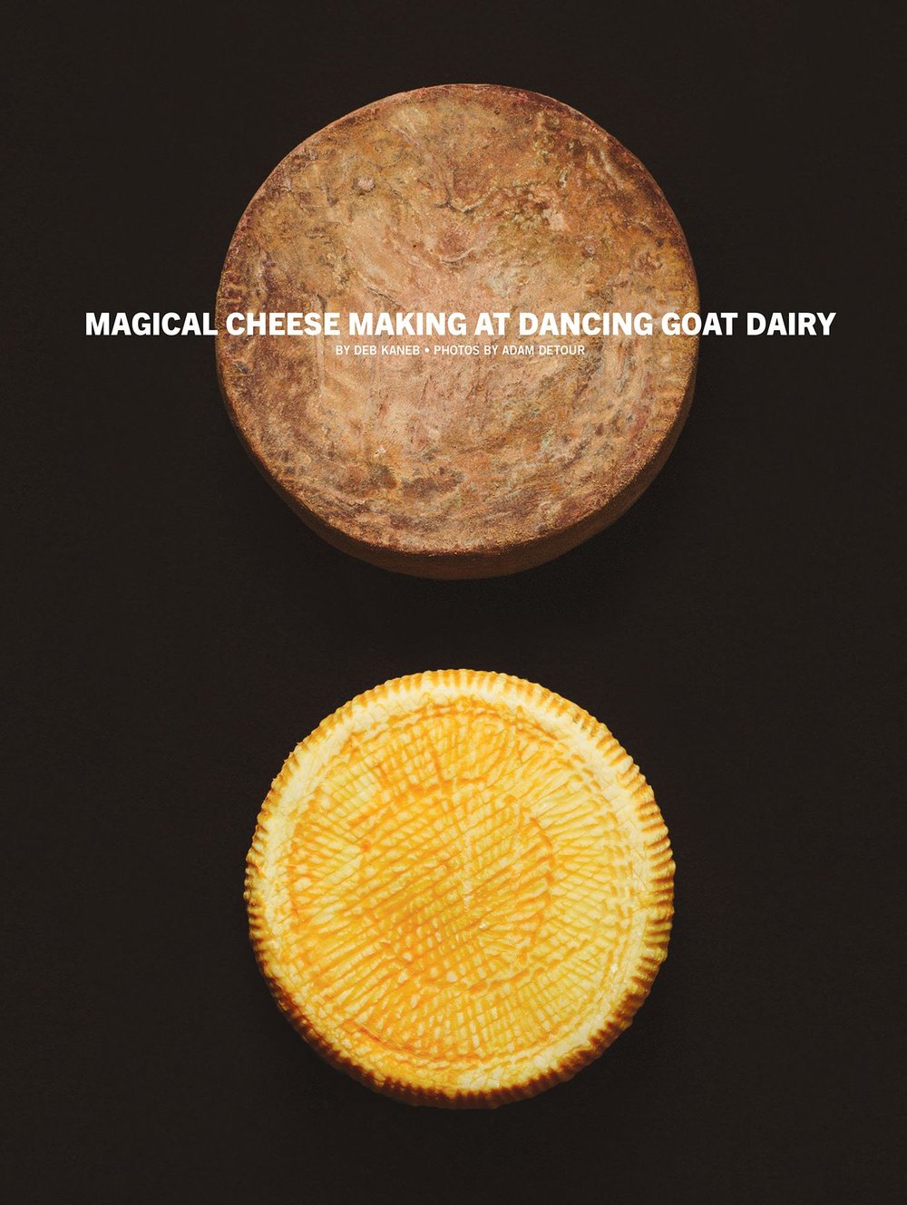 Edible Boston Photography: Dancing Goats Dairy | Adam DeTour Photography
