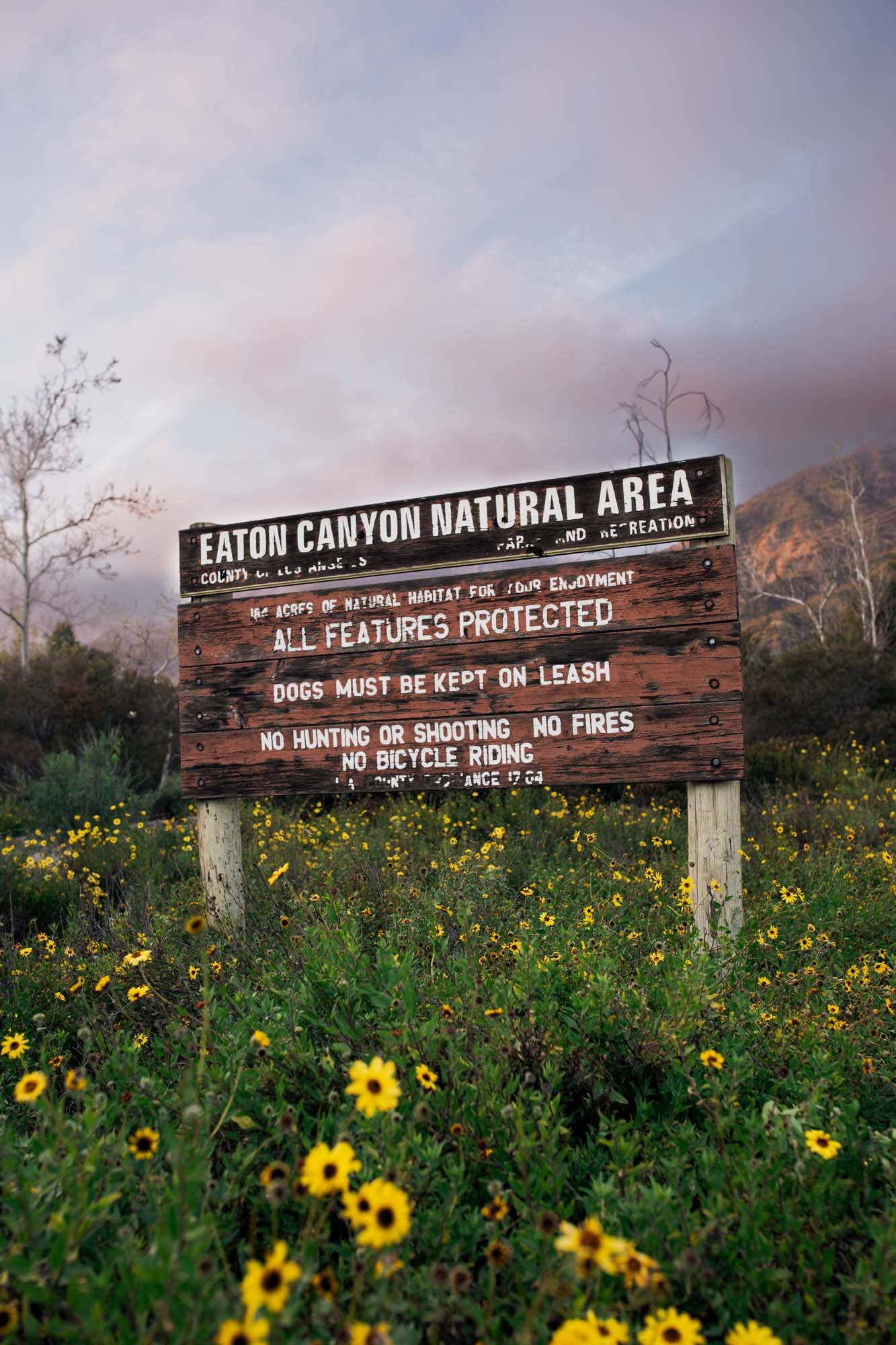 Hiking Eaton Canyon Falls Directions