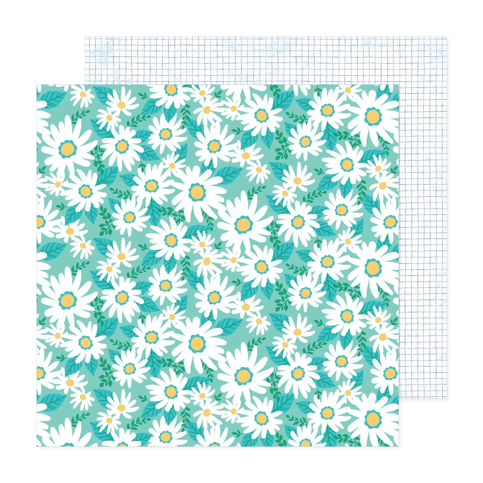 Paige Evans Adventurous — Frank Garcia Studio