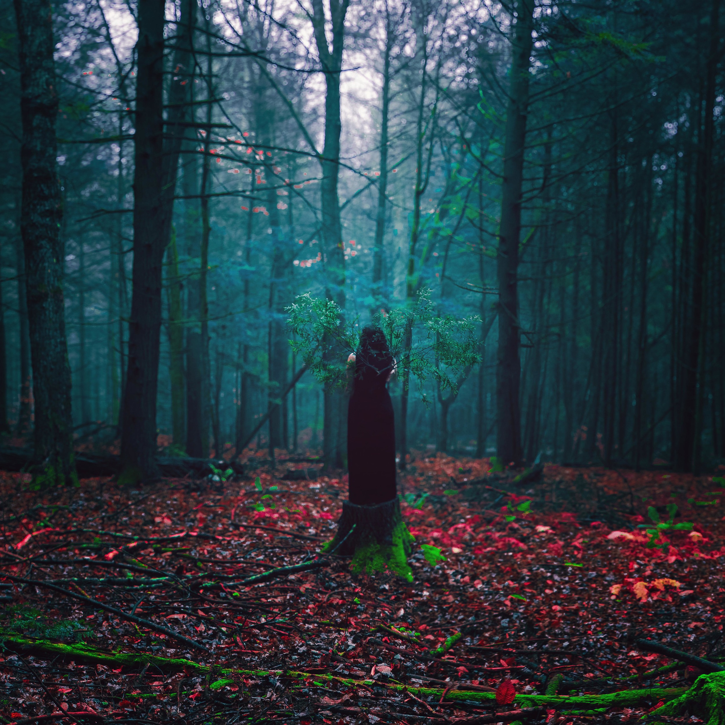 Sarah Ann Loreth