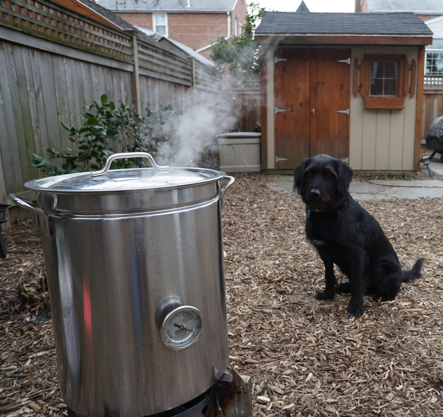 About Us — The Brew Shop