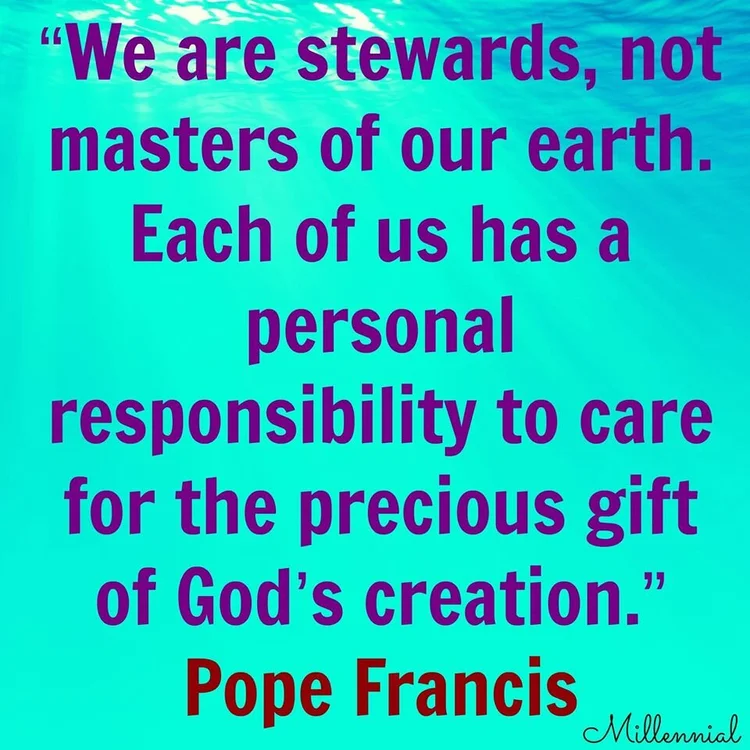Care For God's Creation and Earth Day — Our Lady of Mount Carmel