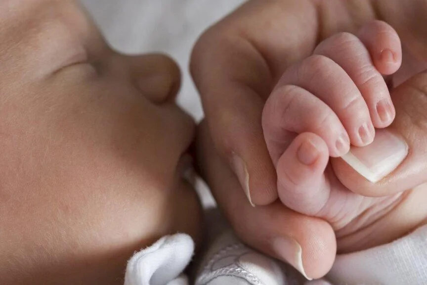 MinistriesHome — Our Lady of Mount Carmel