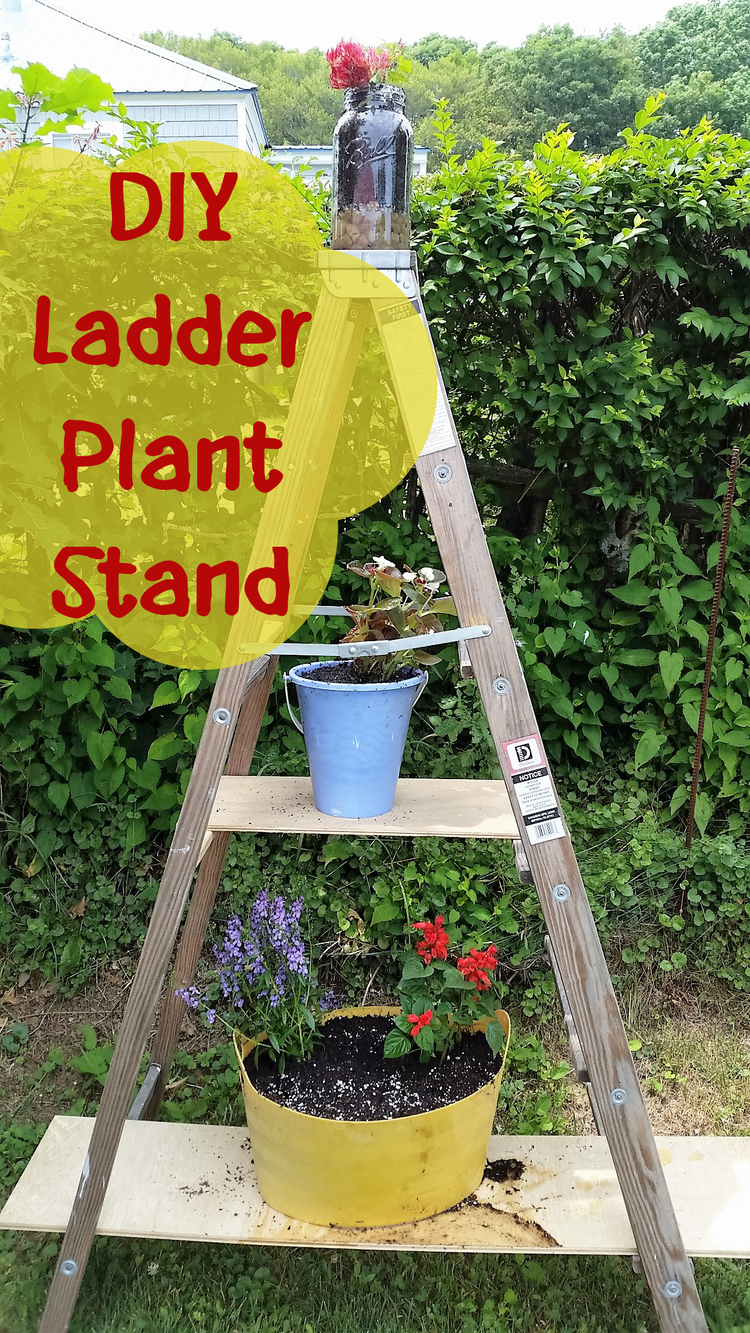 DIY Ladder Plant Stand — Whimsy Scribble