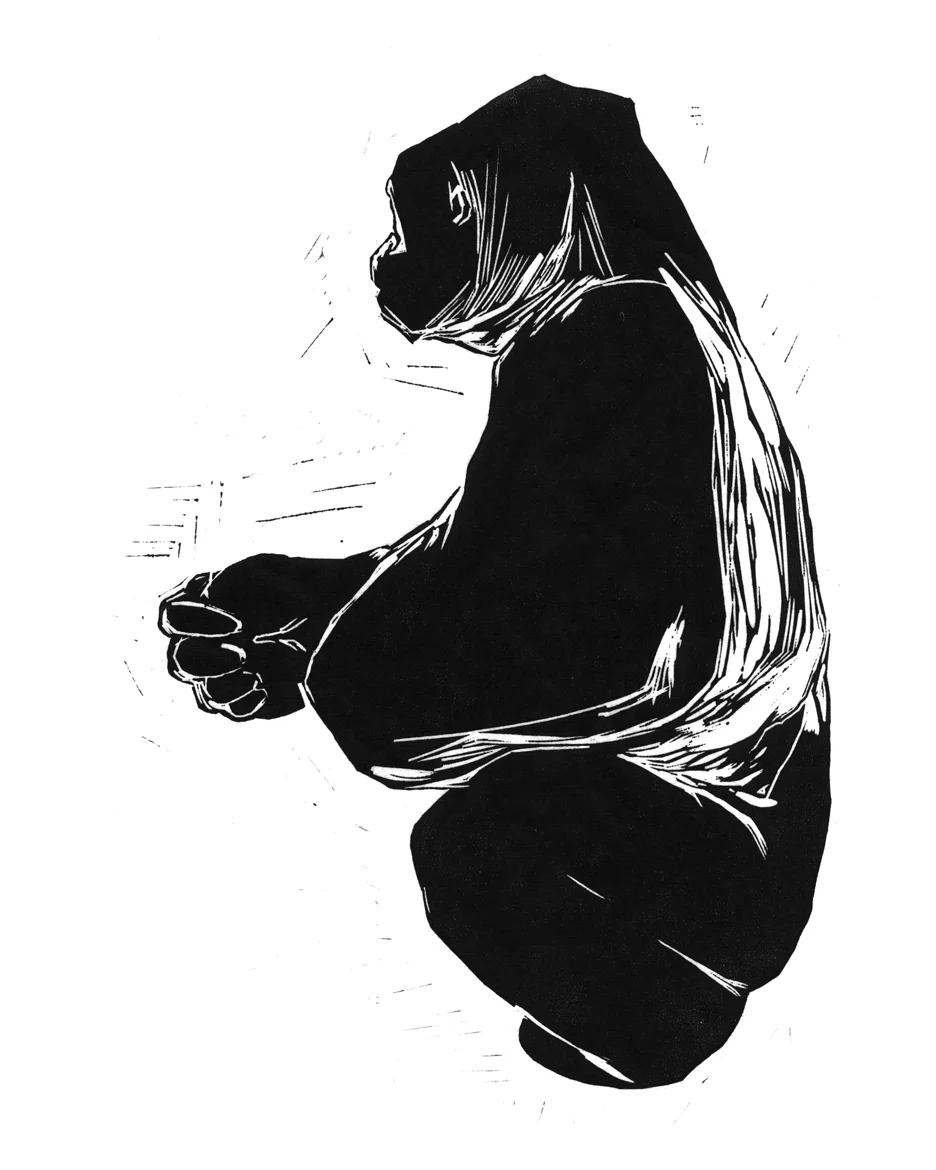 Primate — Natural History Artist