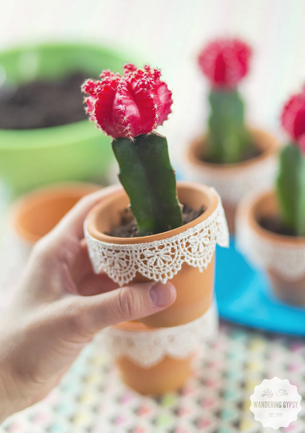 Cactus DIY Project! — Lily The Wandering Gypsy