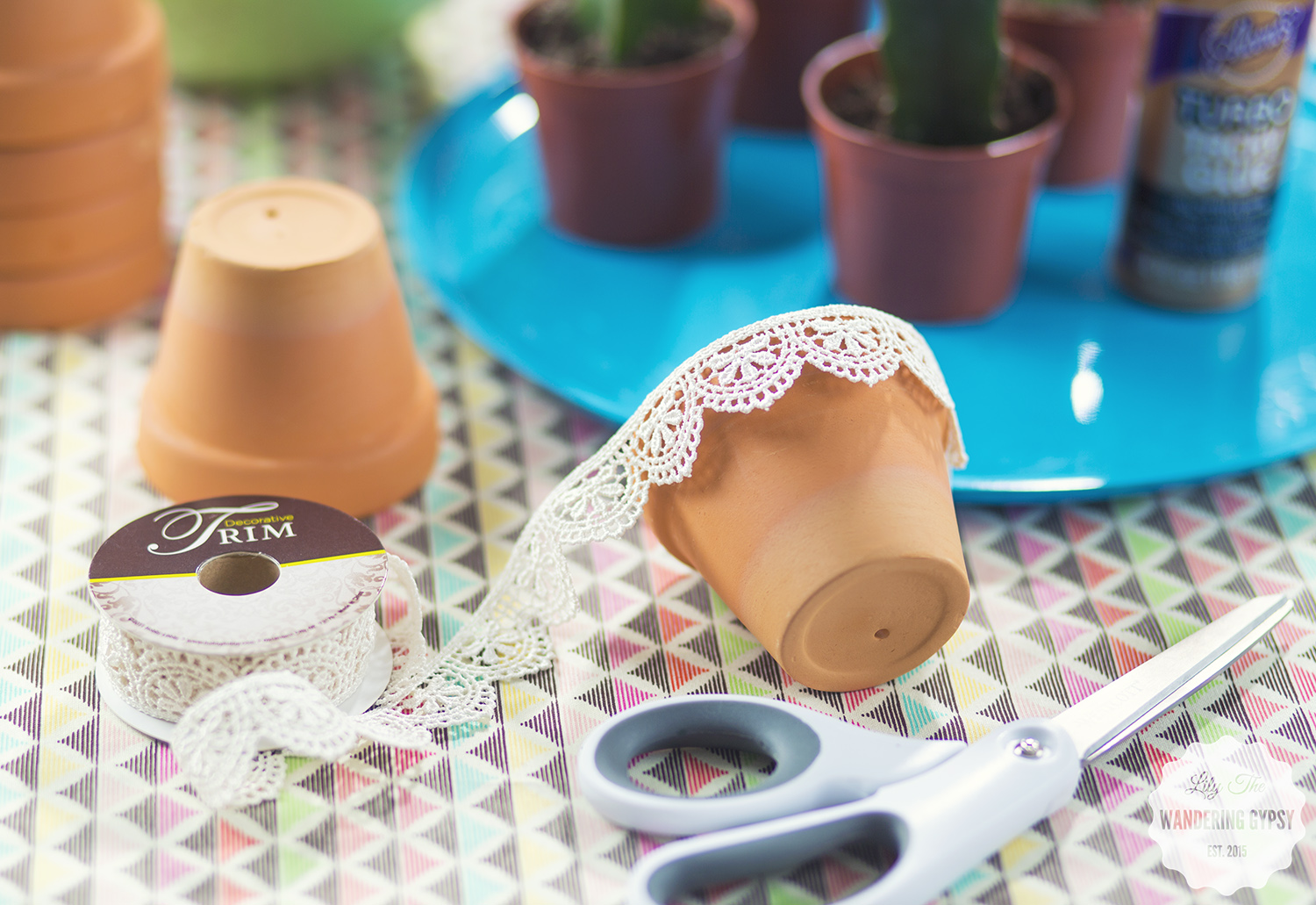 Cactus DIY Project! — Lily The Wandering Gypsy