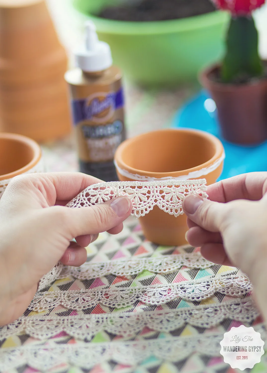 Cactus DIY Project! — Lily The Wandering Gypsy
