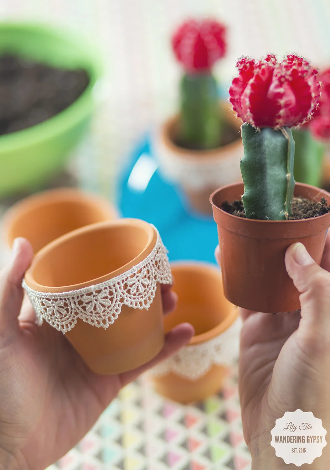 Cactus DIY Project! — Lily The Wandering Gypsy