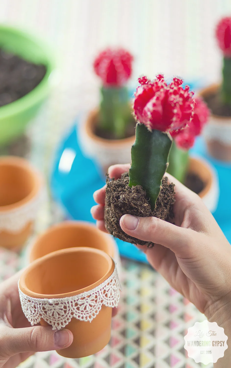 Cactus DIY Project! — Lily The Wandering Gypsy