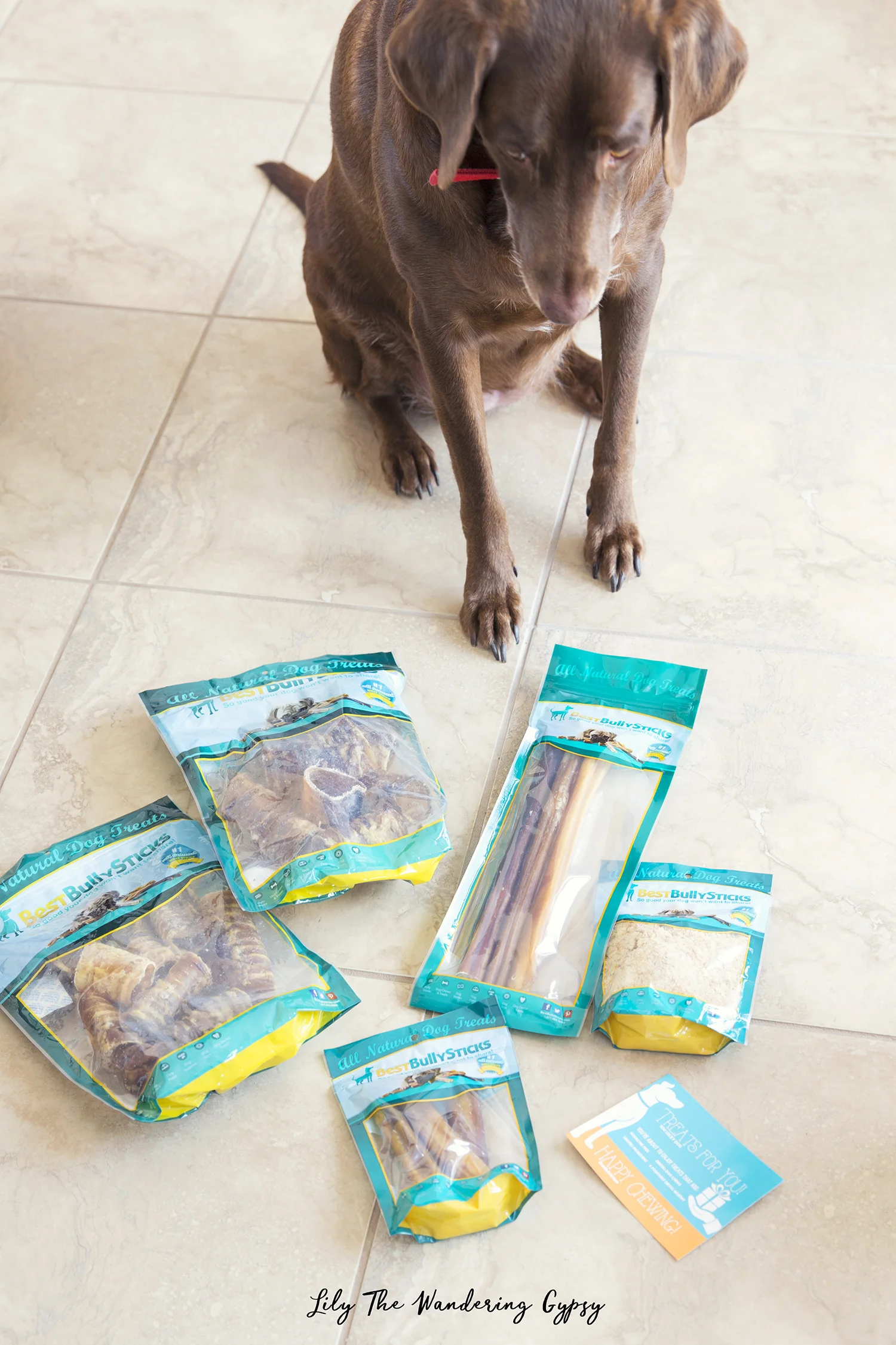 Best Bully Sticks - We Love These Dog Chews — Lily The Wandering Gypsy