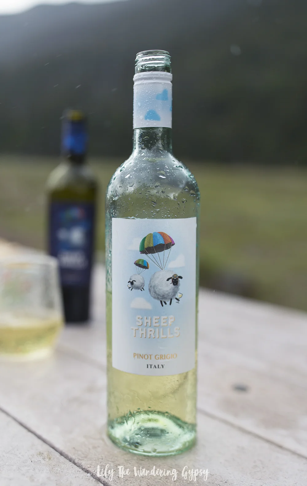 The Thrill Of Adventure With Sheep Thrills Wine — Lily The Wandering Gypsy