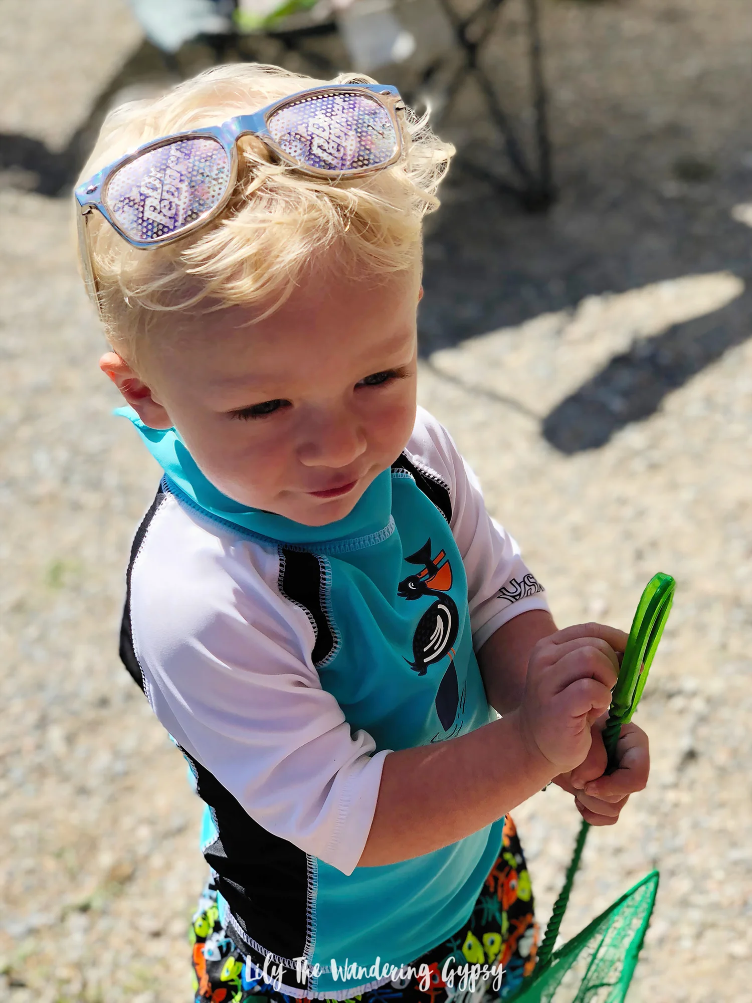 Dr Pepper Pick Your Pepper Summer ~ Indoor Picnic Ideas — Lily The ...