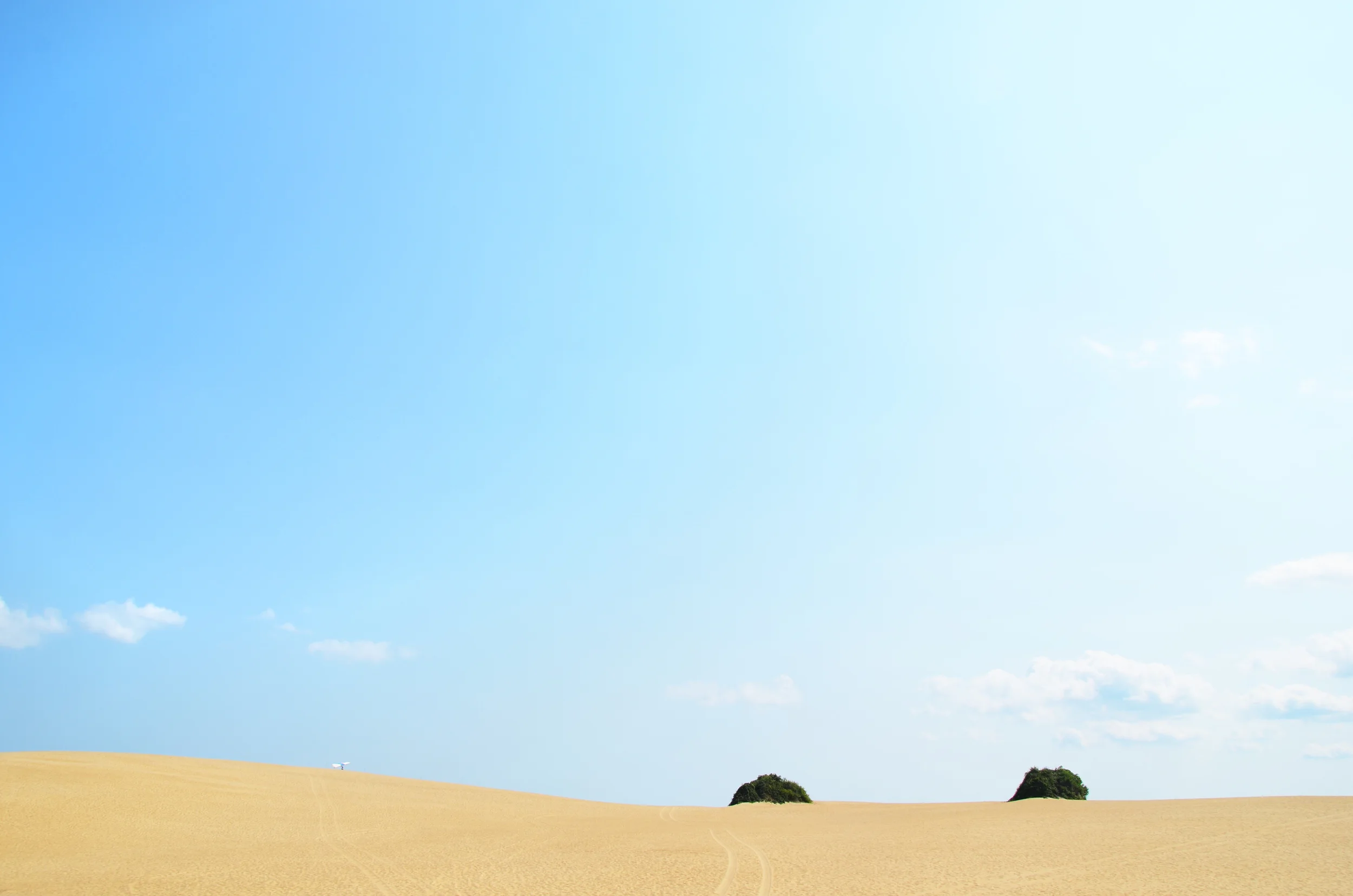 Leah Appel Photography Leah Appel Photography