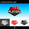 Plateau Esports — Valency Graphics
