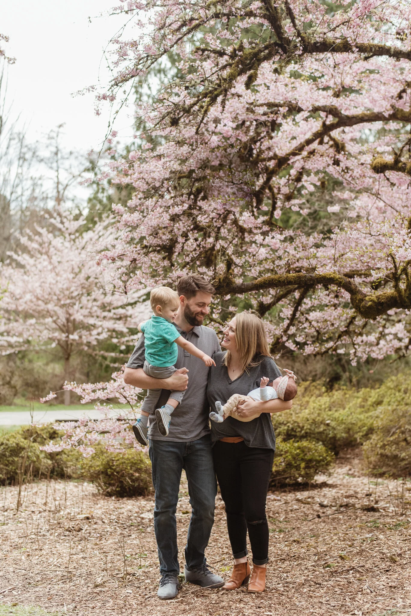 Seattle Fall and Holiday Mini Sessions — Juliette Laura
