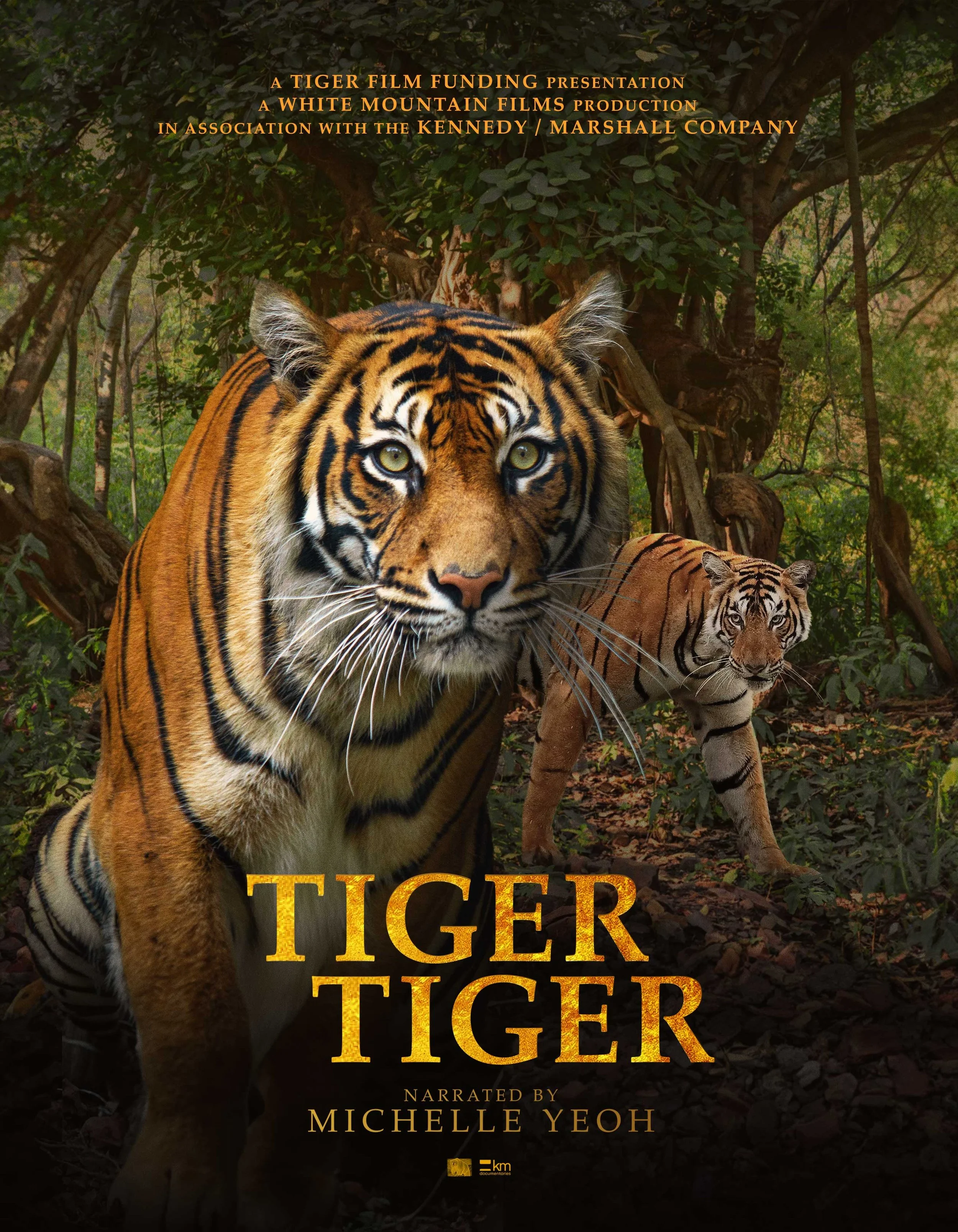 TIGER TIGER