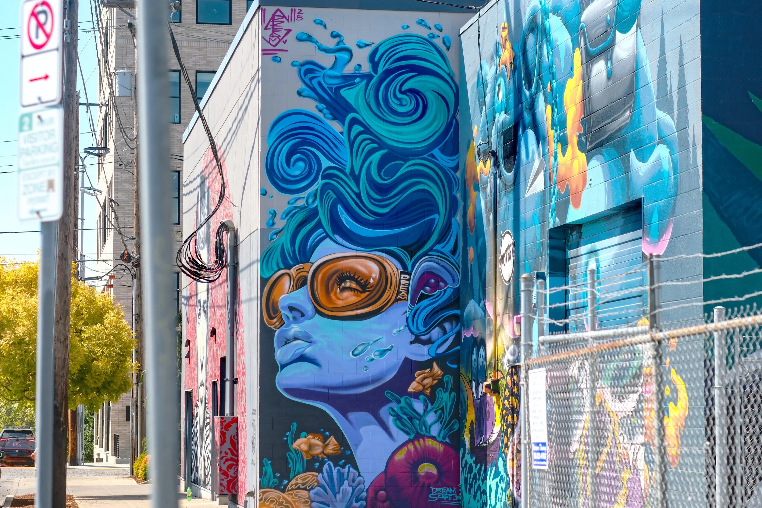 EXTERIOR MURALS — Portland Street Art Alliance
