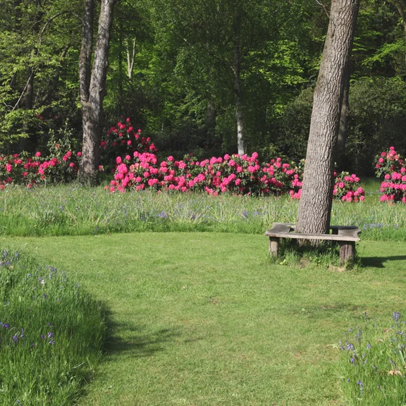 Stody Lodge Gardens - open garden in Norfolk — Stody Estate