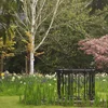Stody Lodge Gardens - open garden in Norfolk — Stody Estate
