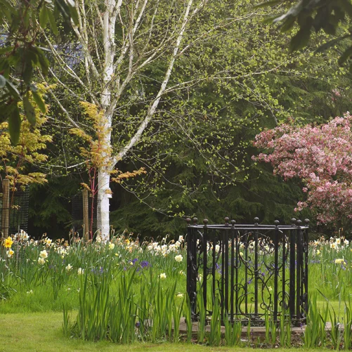 Stody Lodge Gardens - open garden in Norfolk — Stody Estate