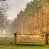 Stody Lodge Gardens - open garden in Norfolk — Stody Estate