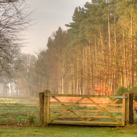 Stody Lodge Gardens - open garden in Norfolk — Stody Estate