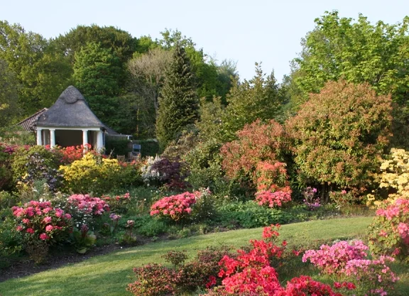 Stody Lodge Gardens - open garden in Norfolk — Stody Estate
