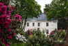 Stody Lodge Gardens - open garden in Norfolk — Stody Estate